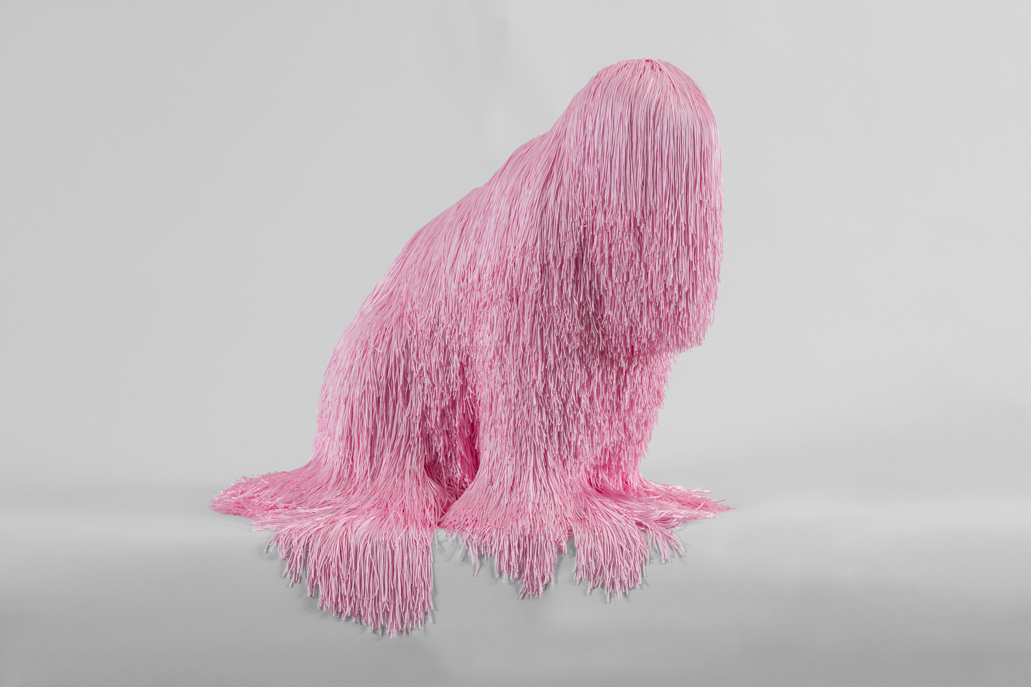 Hidden World - Michael Reid