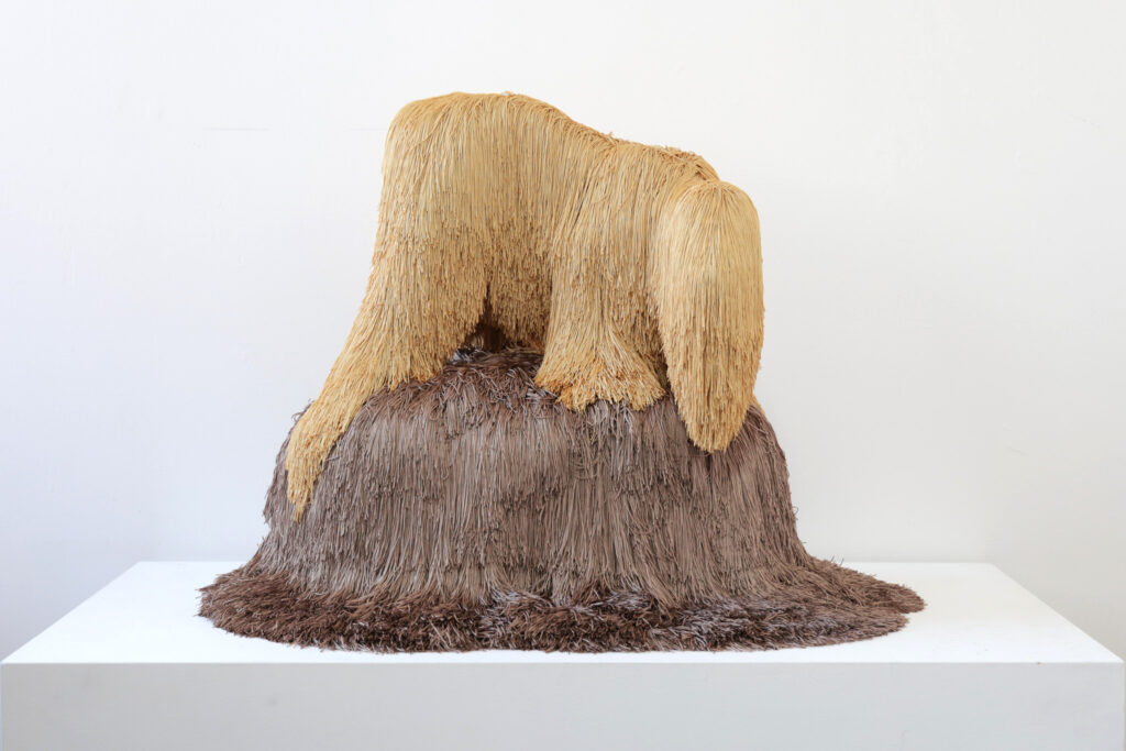 Golden creature on nesting mound - Michael Reid
