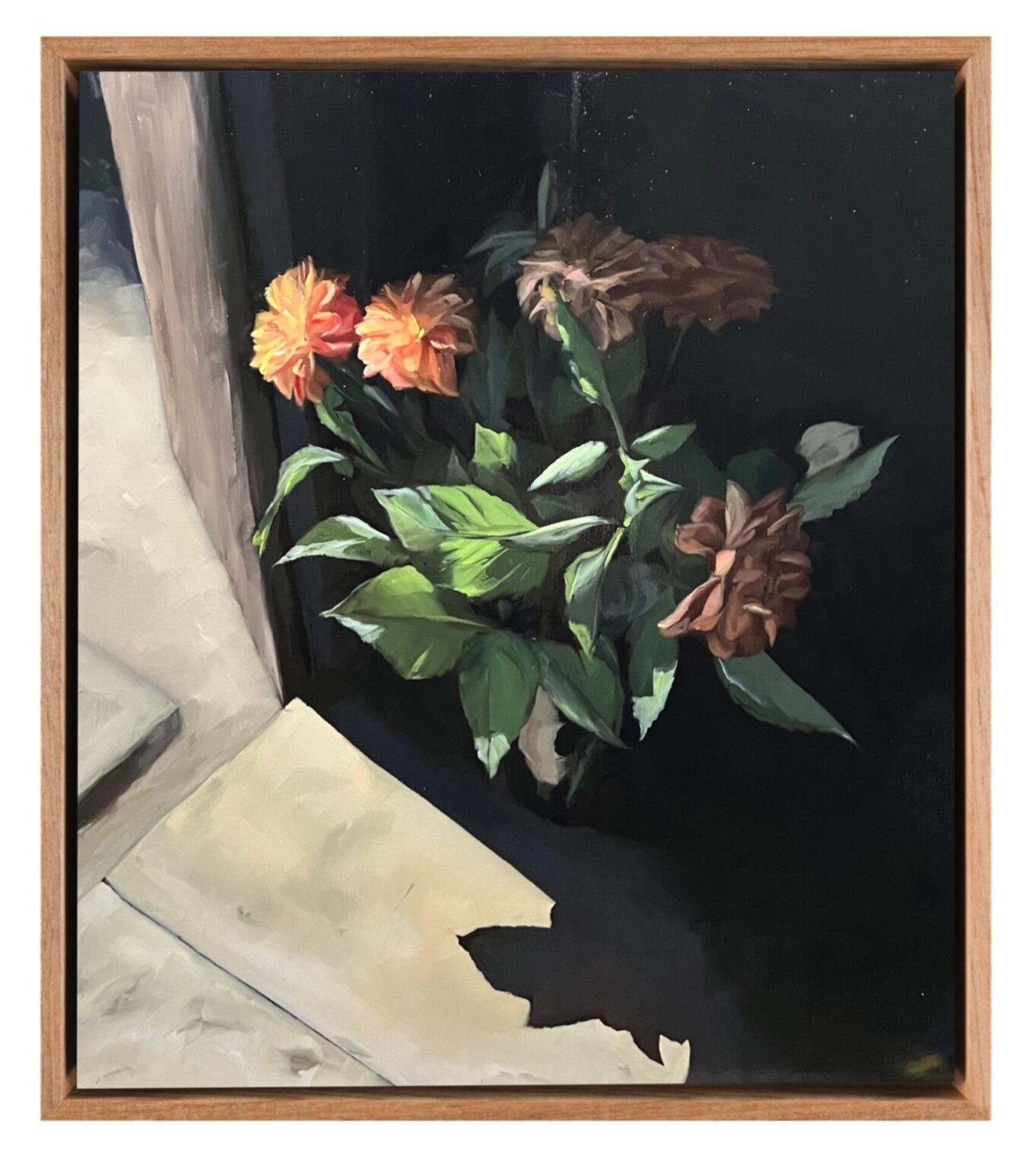 Holly Dormor - Michael Reid Northern Beaches