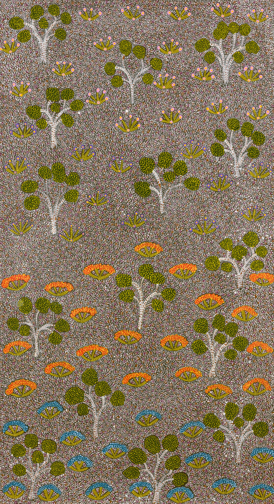 Artists of Ampilatwatja - Michael Reid Southern Highlands