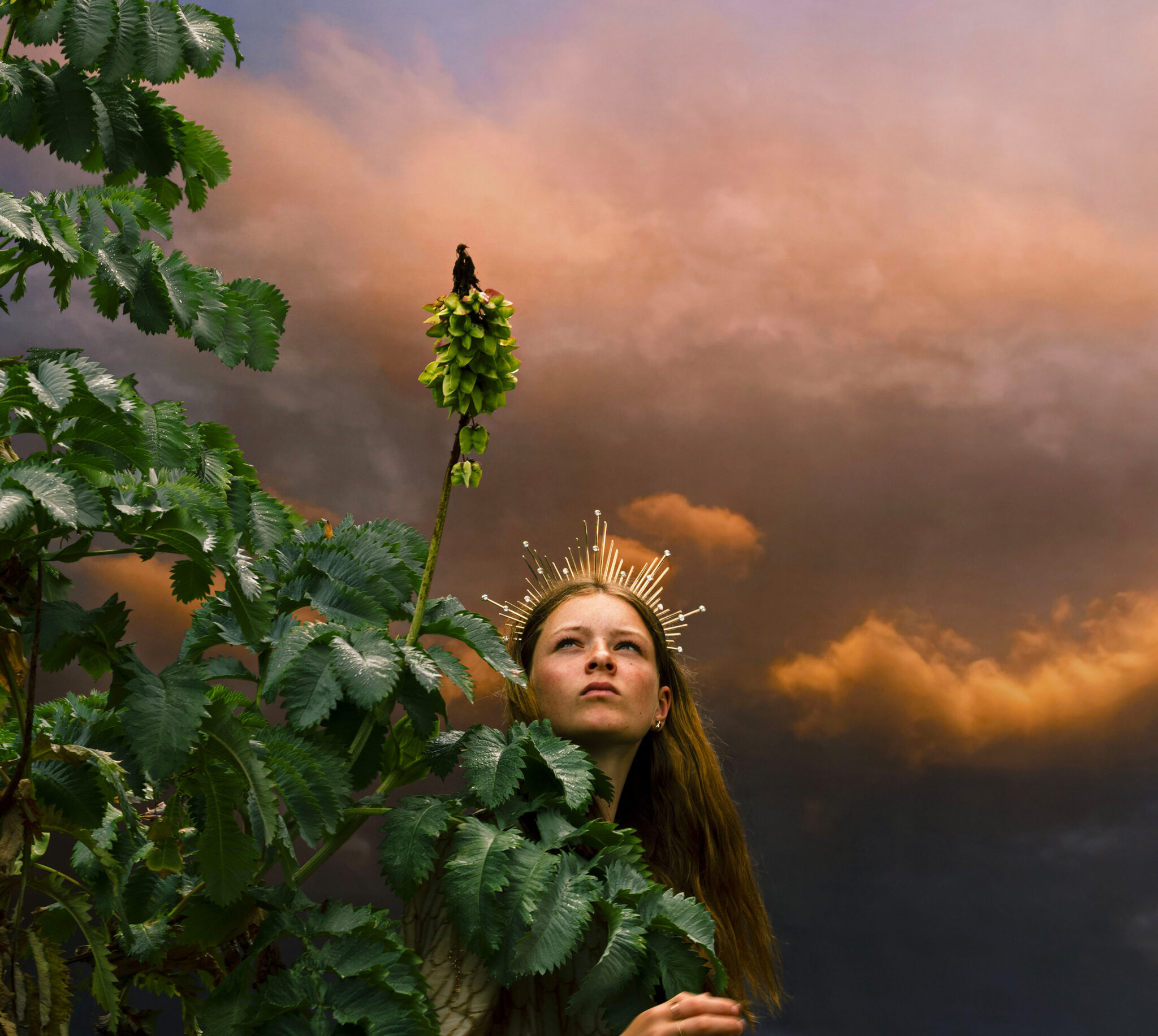 Michael Reid Galleries: Contemporary Australian Art in Sydney and Berlin