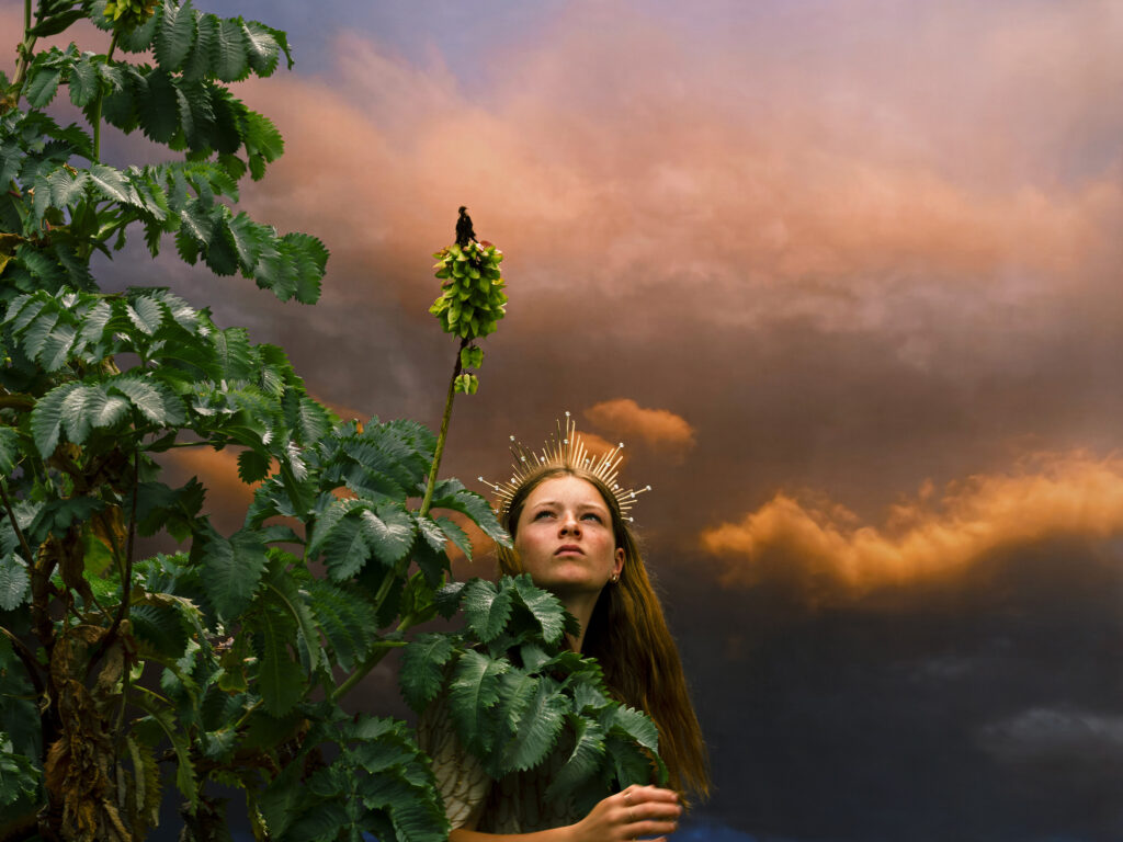 Honey Flower - Michael Reid