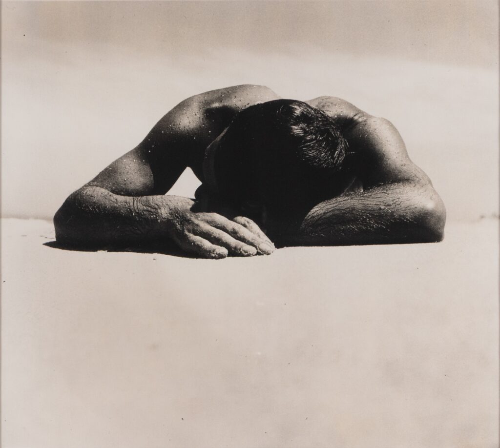 Sunbaker - Michael Reid