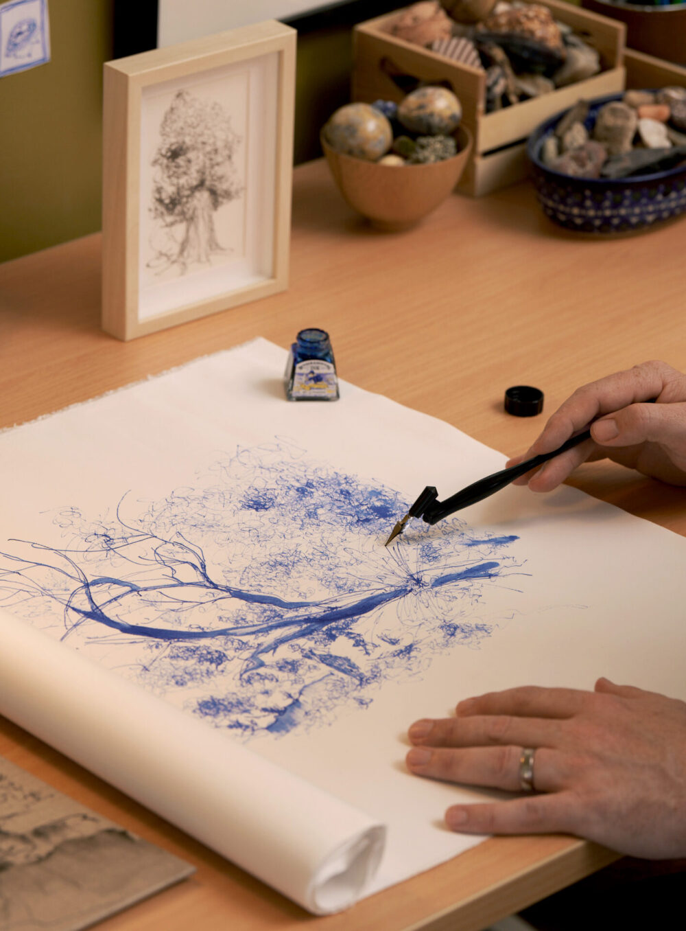 Drew Truslove - 'The Courage Tree' - Michael Reid Northern Beaches