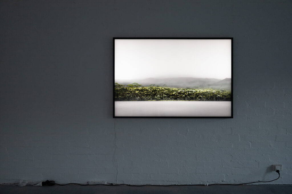Home - Michael Reid Southern Highlands