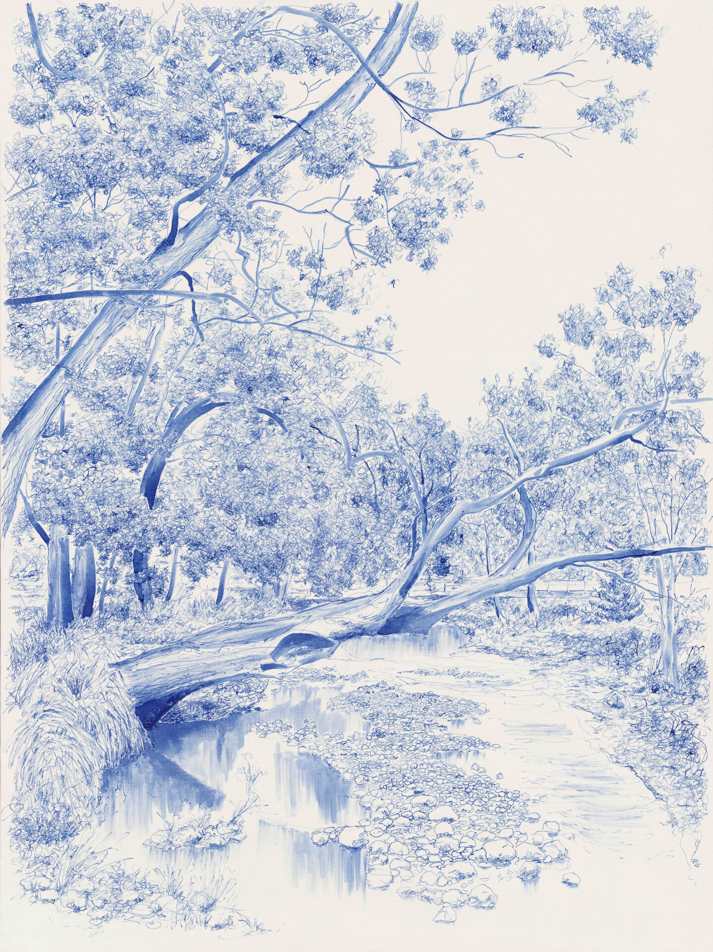 Minnamurra River - Courage Tree - third angle - Michael Reid Northern ...