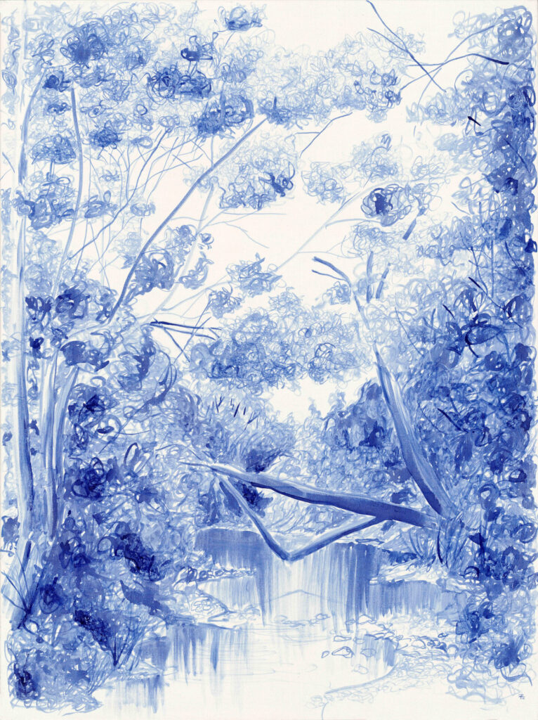 Minnamurra River - Courage Tree - second angle - Michael Reid Northern ...