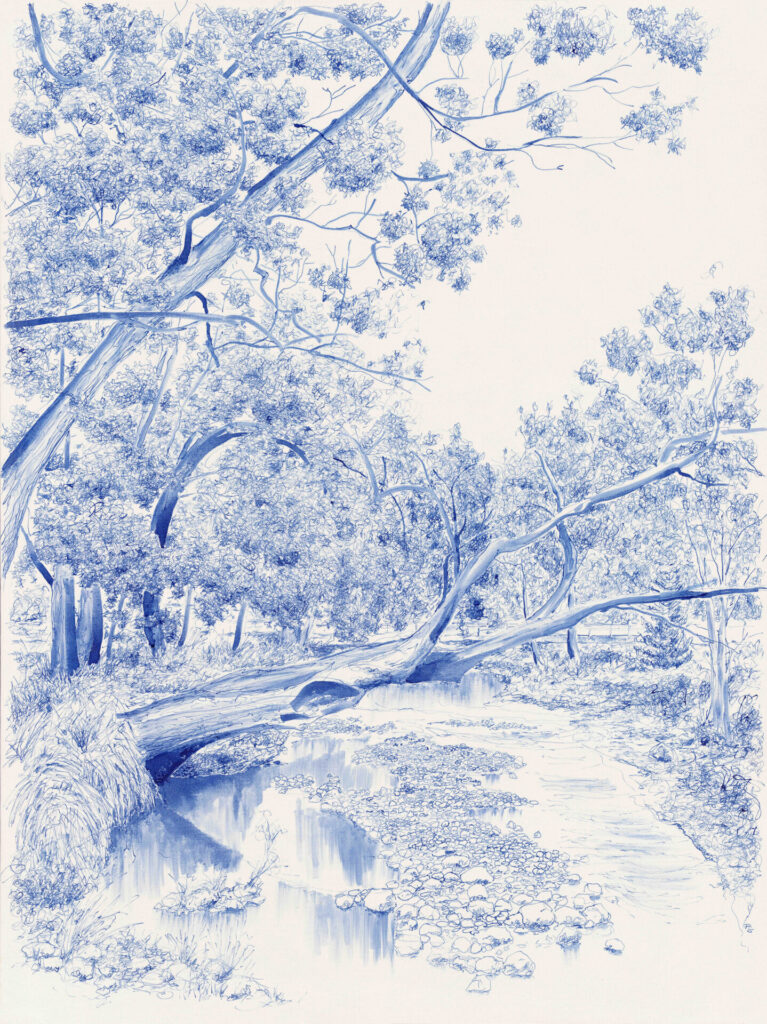 Minnamurra River - Courage Tree - third angle - Michael Reid Northern Beaches