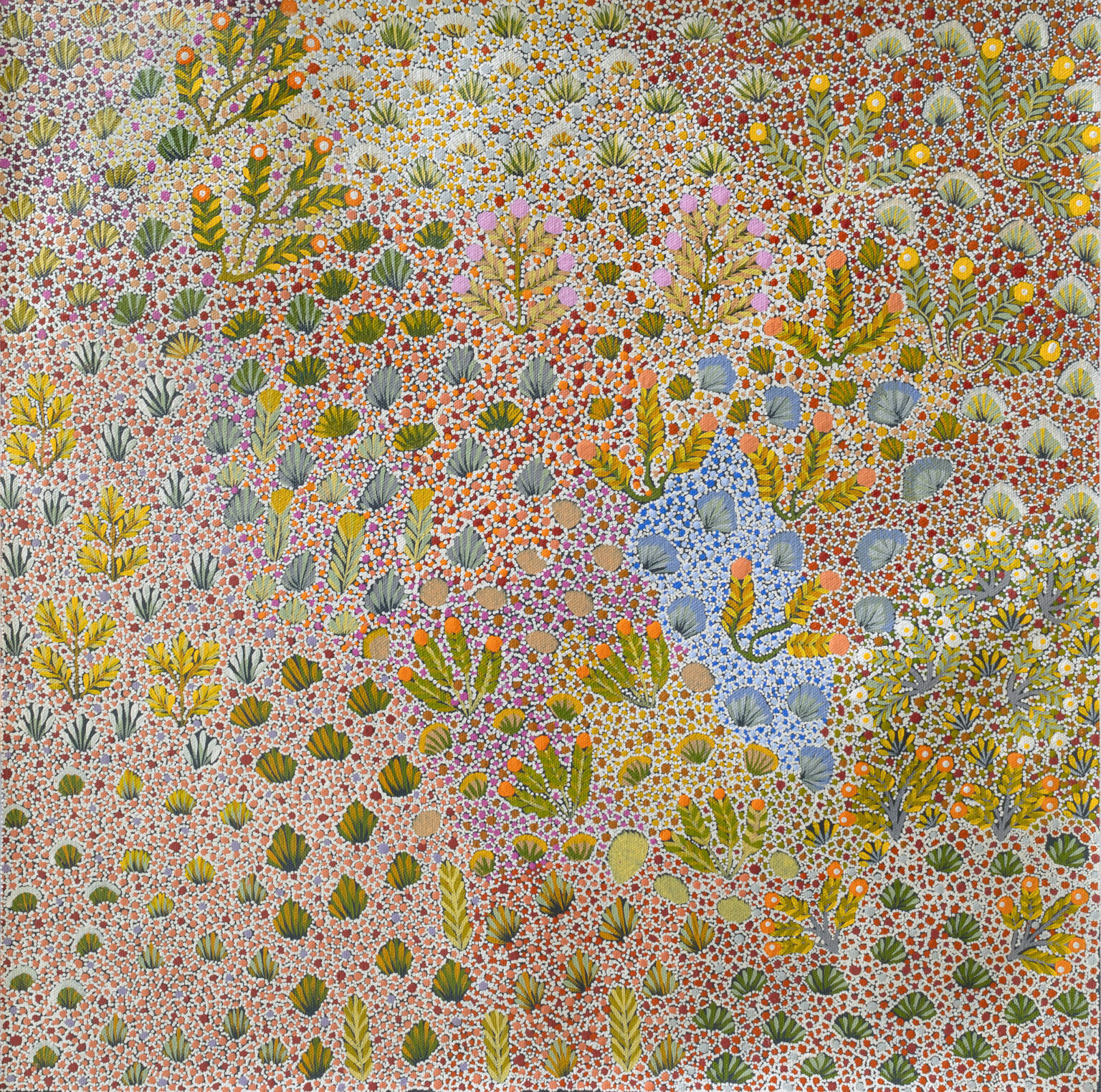 Artists of Ampilatwatja - Michael Reid Southern Highlands