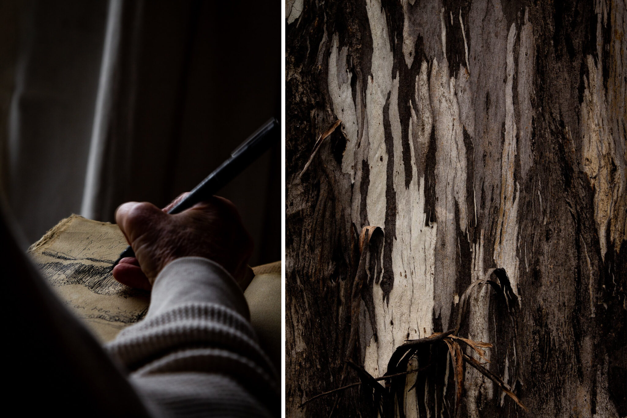 Interwoven - Michael Reid Southern Highlands
