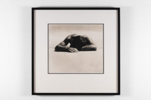 Masters of Australian Photography: Max Dupain - Michael Reid