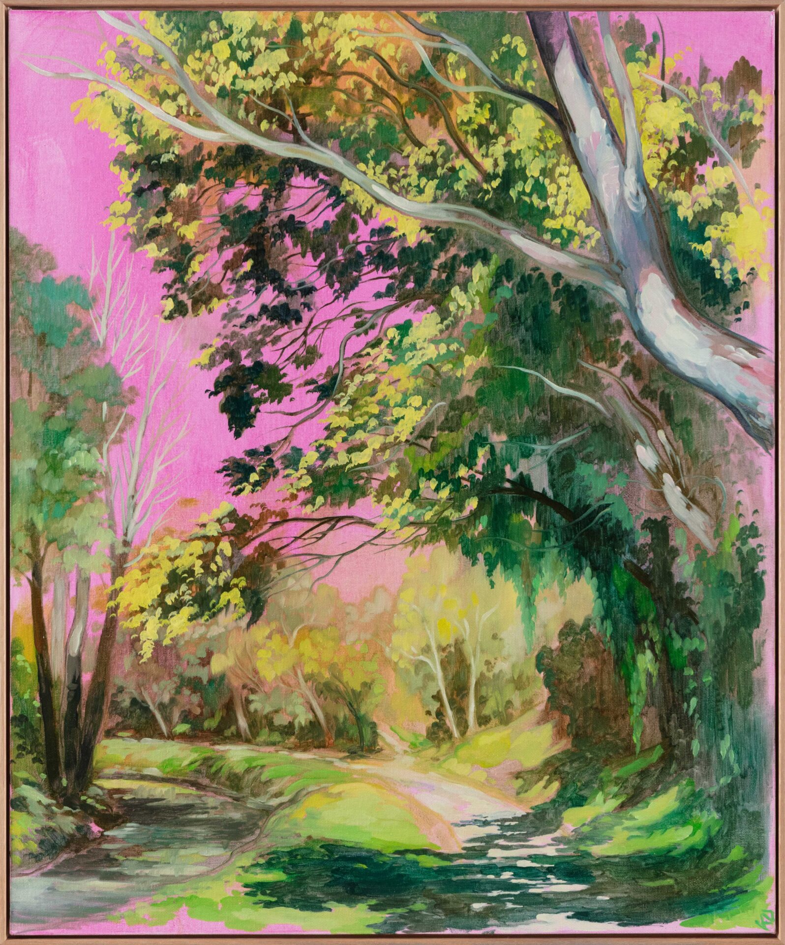 Sheer Delight - Michael Reid Murrurundi