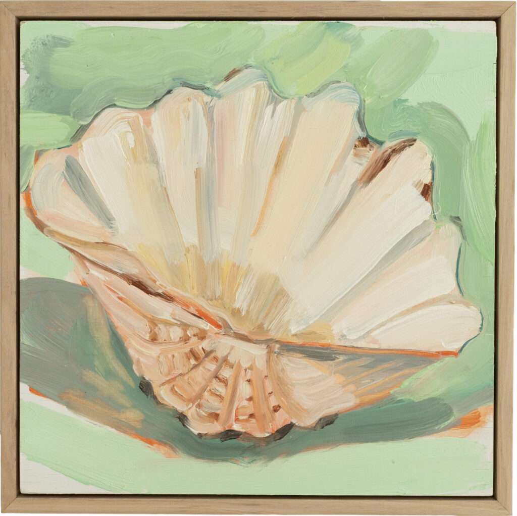 Green Sea Shell II - Michael Reid Northern Beaches