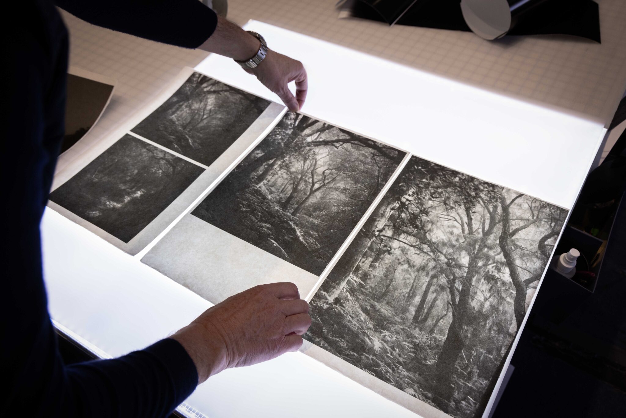 Artist Profile – Scott Perkins - Michael Reid