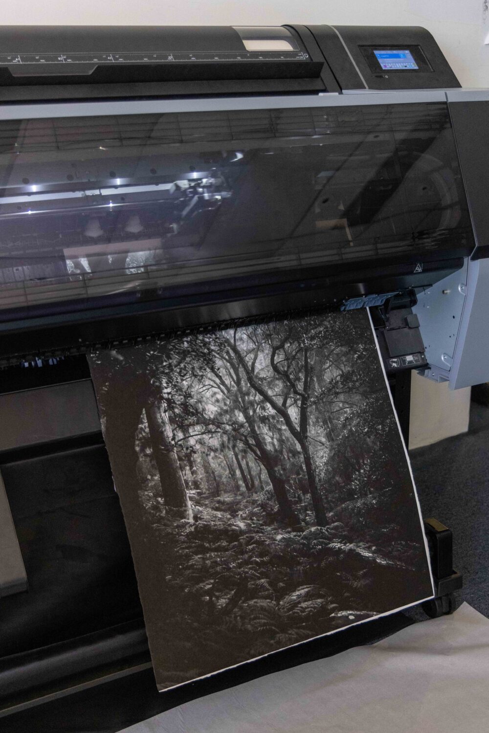 Artist Profile – Scott Perkins - Michael Reid