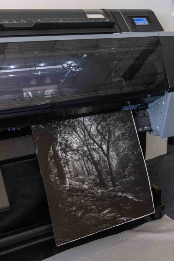 Artist Profile – Scott Perkins - Michael Reid