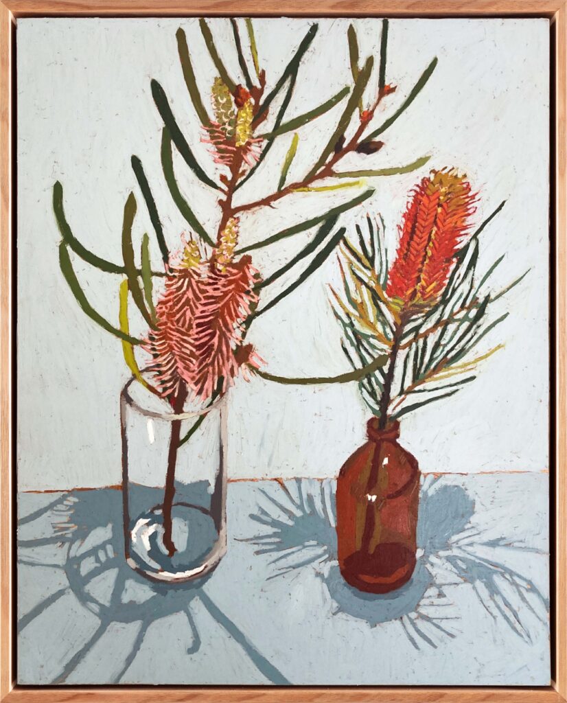 Hakea Banksia - Michael Reid Southern Highlands