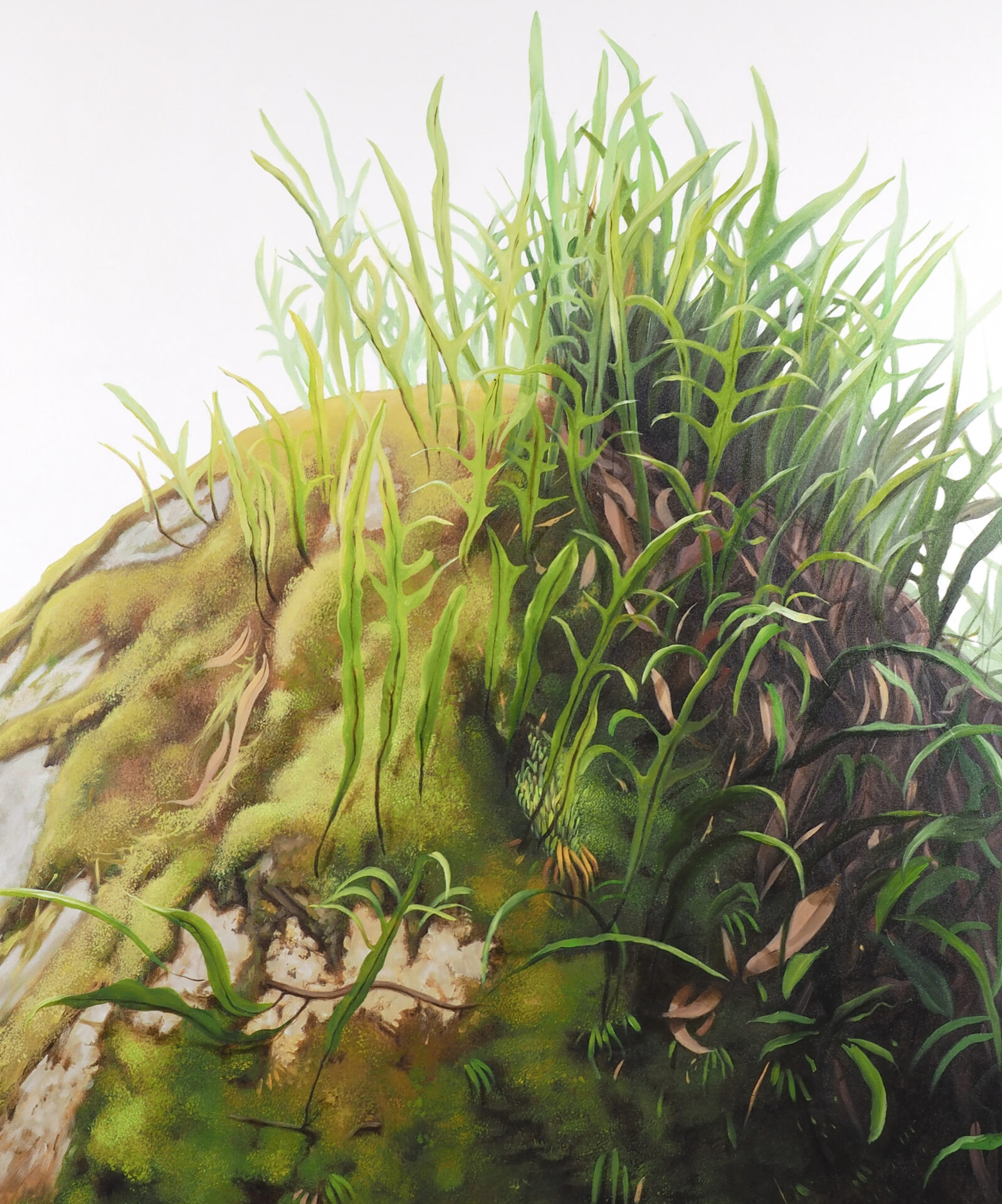 Home - Michael Reid Northern Beaches