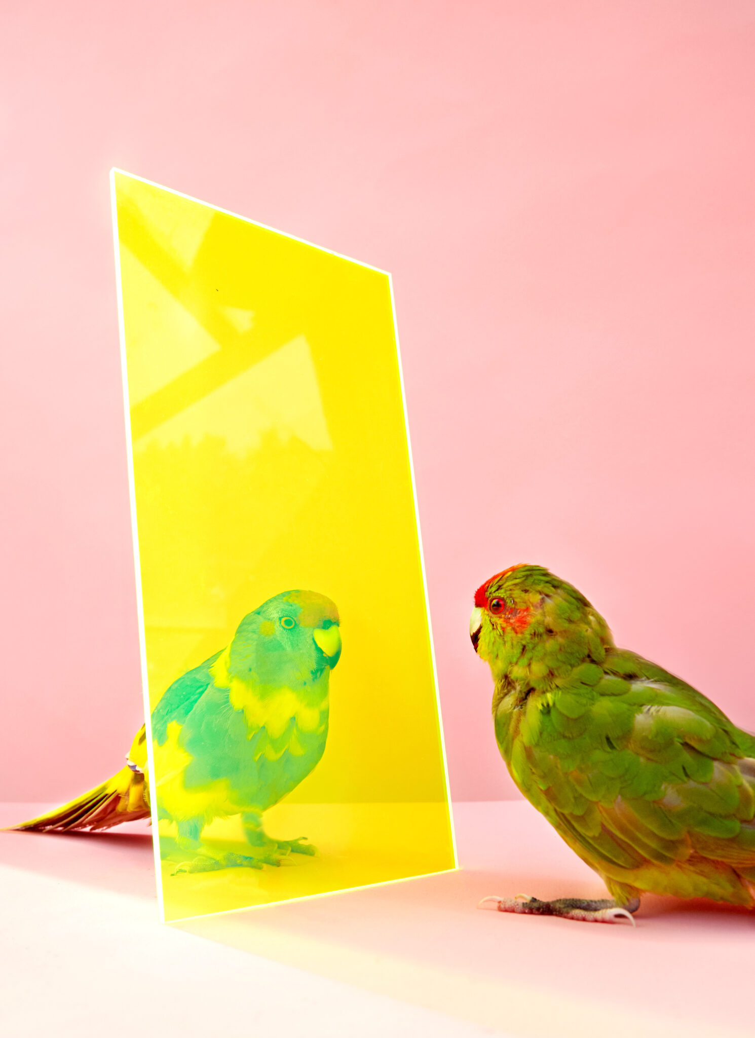 Son and Father - Michael Reid